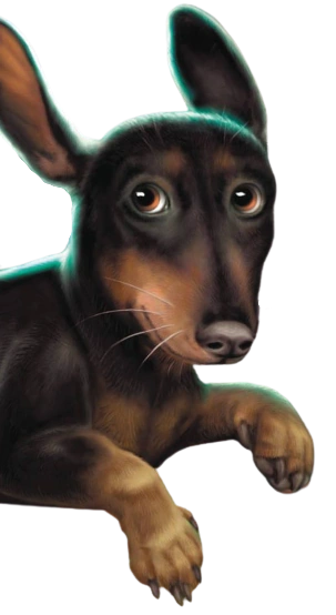 Rocky | The Last Dogs Wiki | Fandom