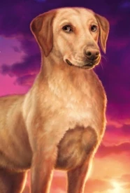 Max | The Last Dogs Wiki | Fandom