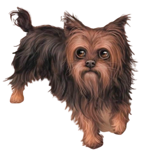 Gizmo | The Last Dogs Wiki | Fandom