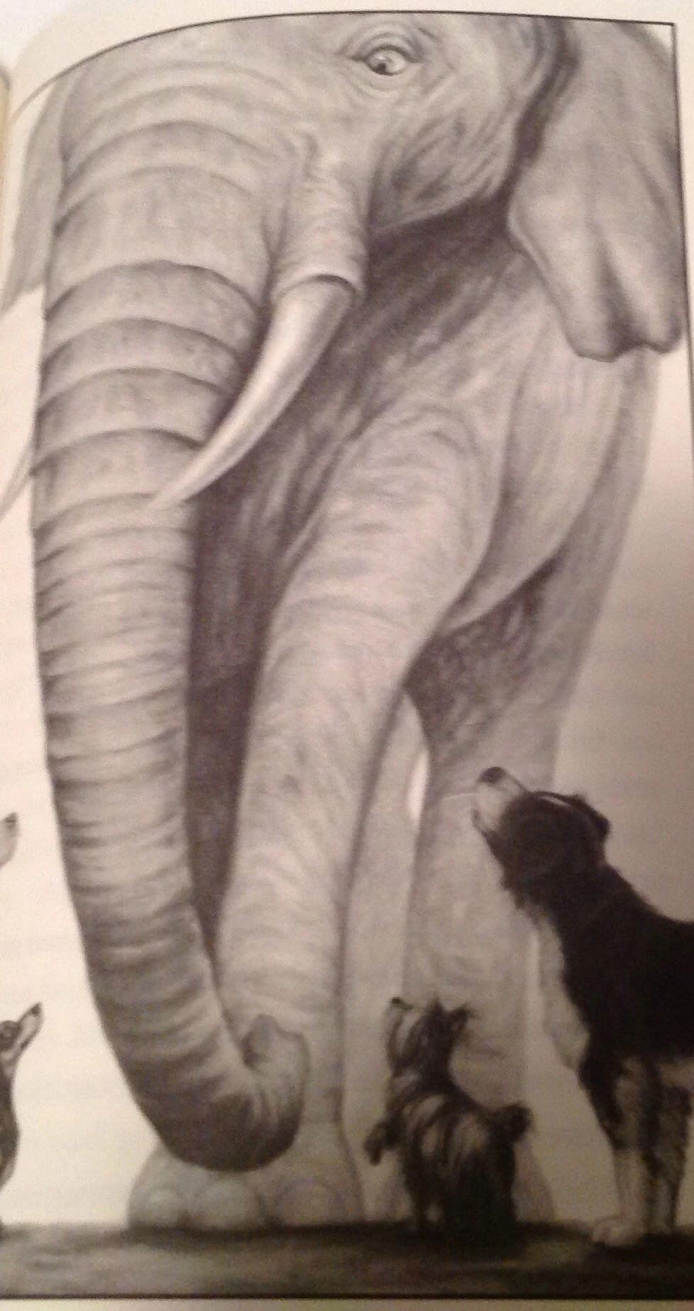 The Mountain | The Last Dogs Wiki | Fandom