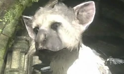 The Last Guardian Wiki