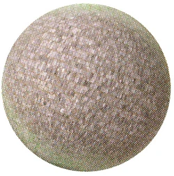 Skako | Star Wars: The Last of the Droids Wiki | Fandom