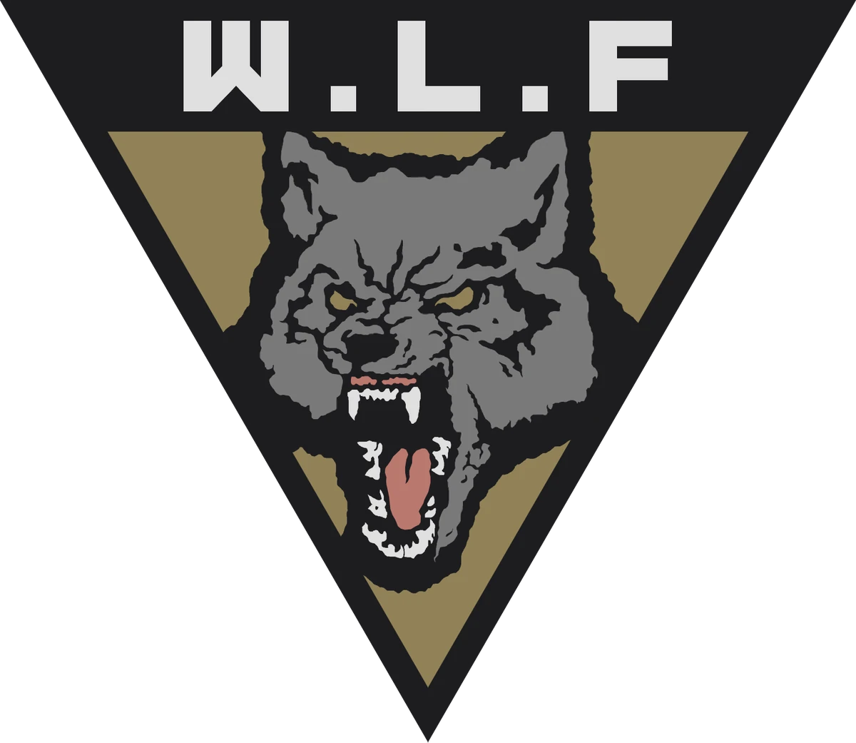 Front de Libération de Washington (WLF) | Wiki The Last of Us | Fandom