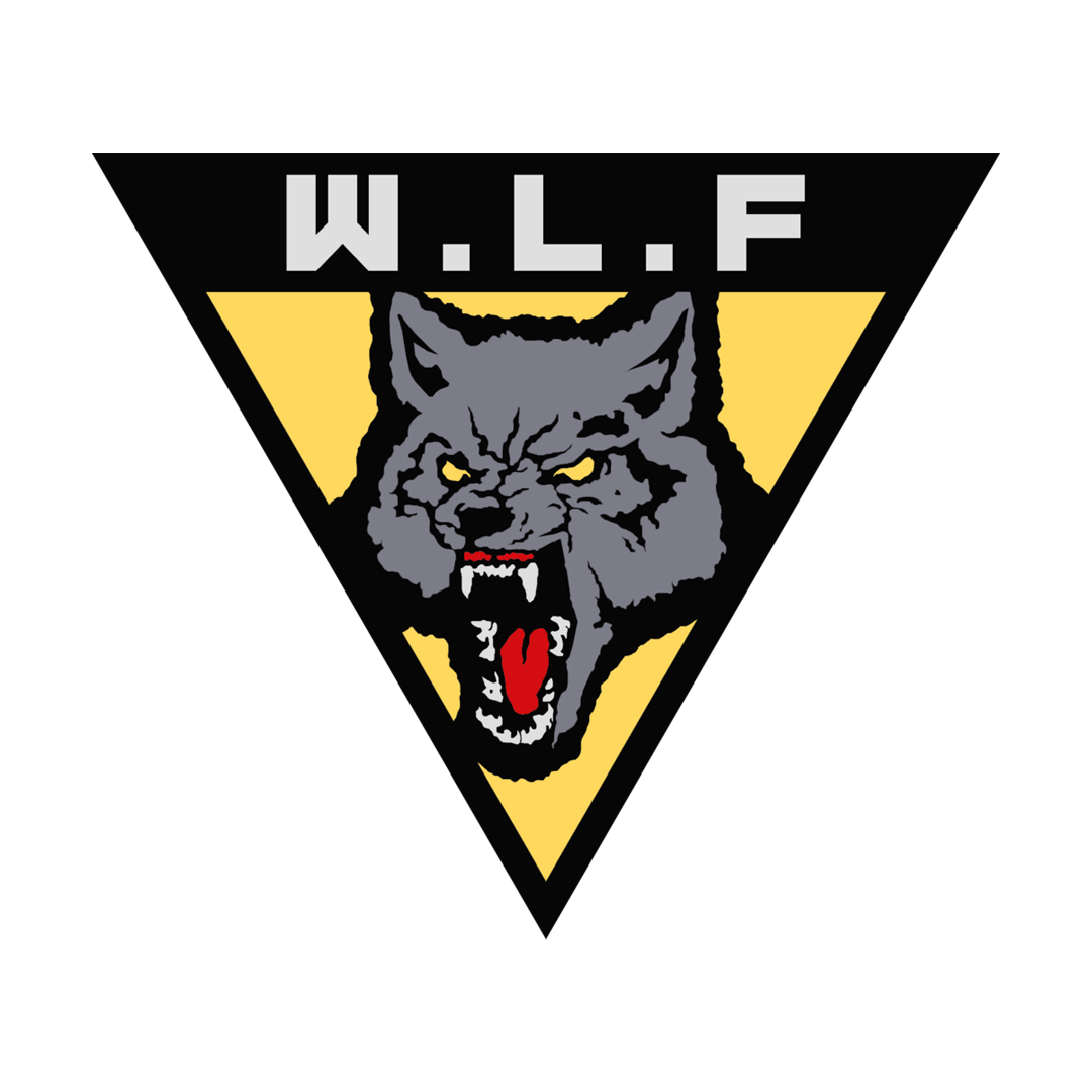 GRUPOS DE THE LAST OF US: PARTE II | Wiki The Last of Us | Fandom