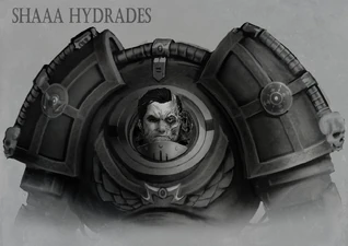 Saturnine Terminator Armour | The Legions Reborn Wiki | Fandom