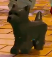 Toto | The LEGO Movie Wiki | Fandom