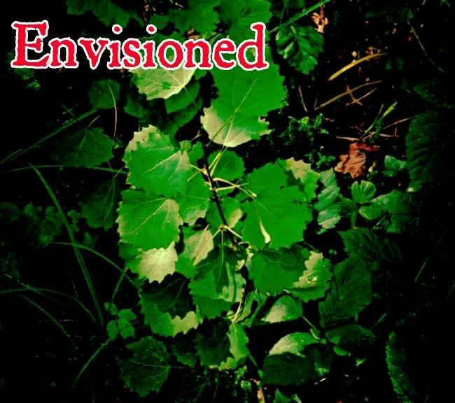 Envisioned | The Library Wiki | Fandom