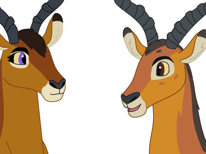 Kanga/Gallery | The Lion King Fanon Wiki | Fandom