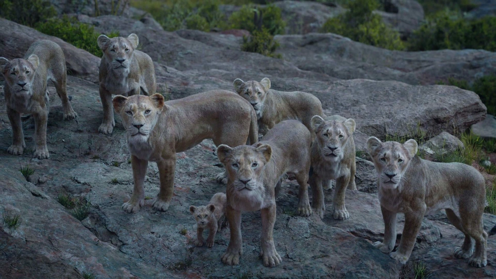 Mufasa's Pride | The Lion King Fanon Wiki | Fandom