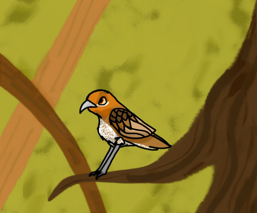 Starling | The Lion King Fanon Wiki | Fandom