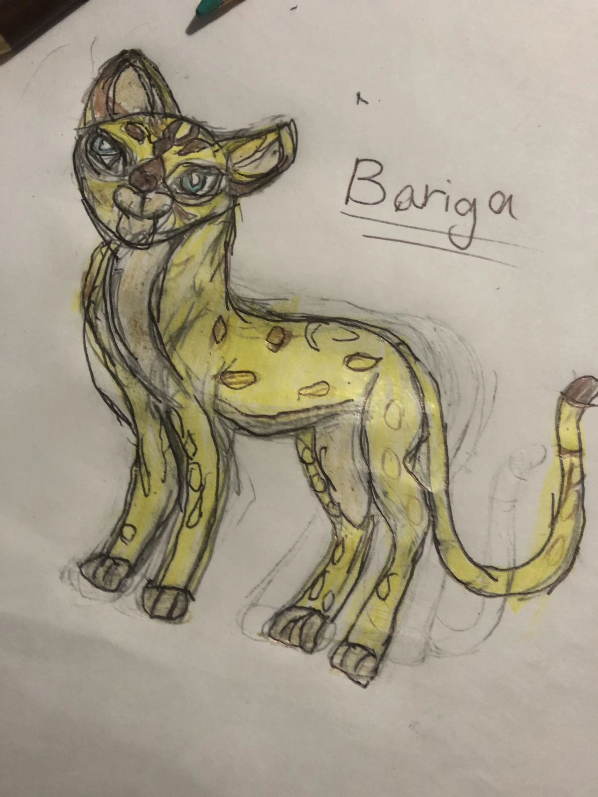 Bariga ( azulithefastest fanfics) | The Lion King Fanon Wiki | Fandom