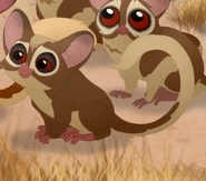 Galago/Gallery | The Lion King Fanon Wiki | Fandom