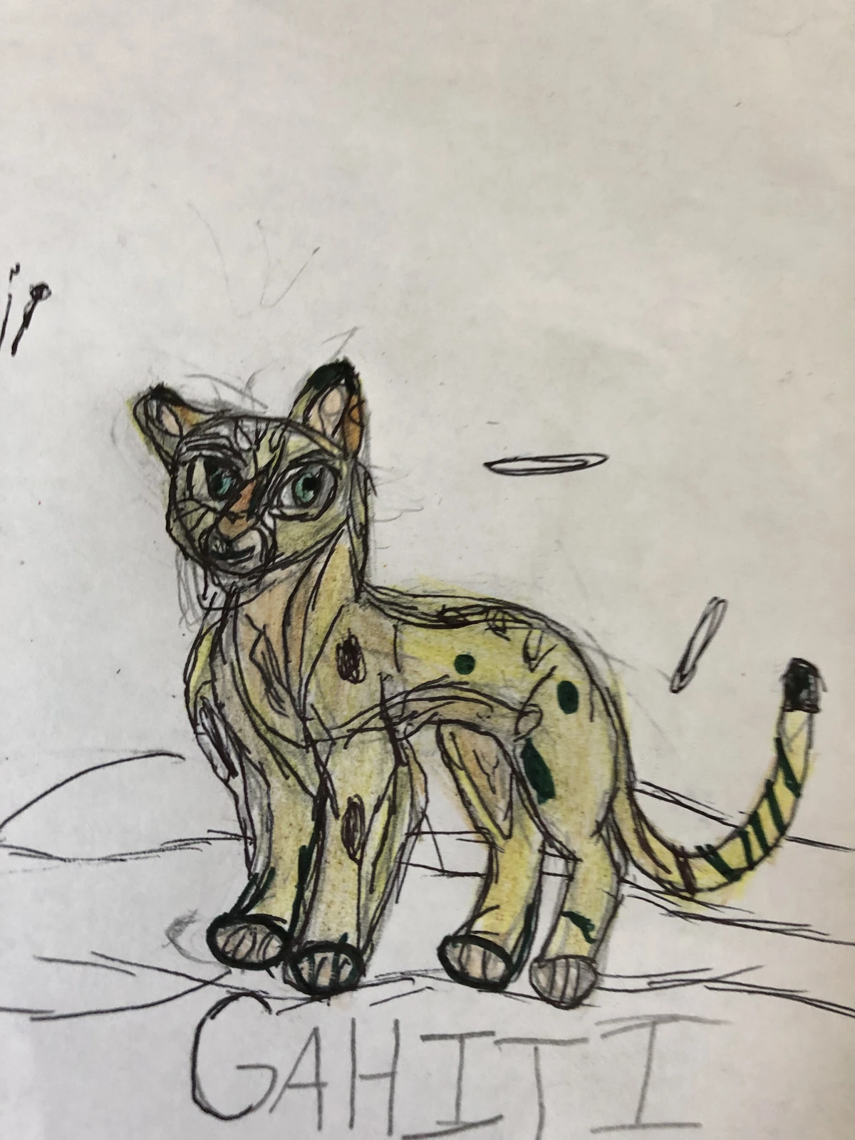 Gahiji | The Lion King Fanon Wiki | Fandom