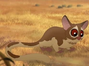Galago/Gallery | The Lion King Fanon Wiki | Fandom
