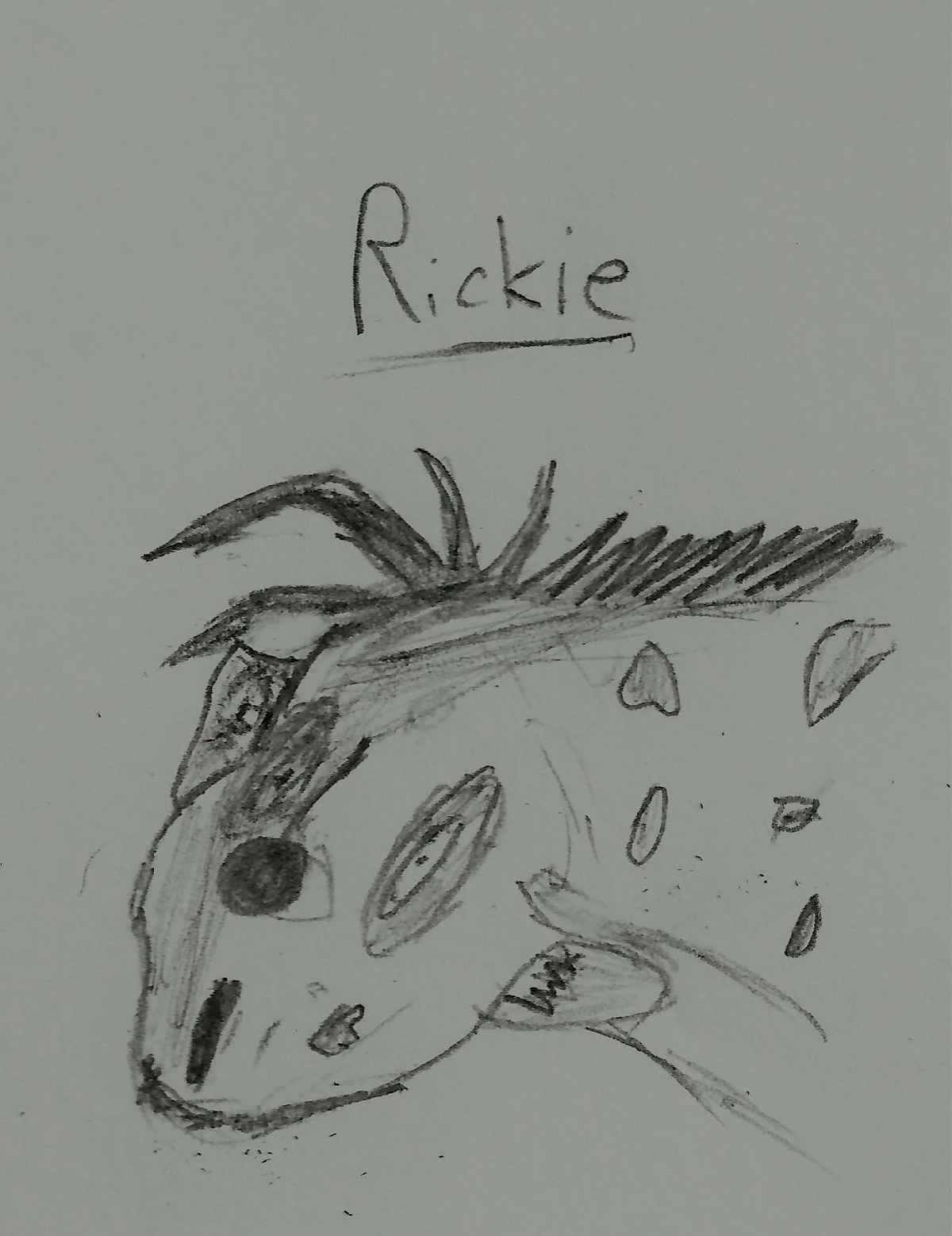 Rickie | The Lion King Fanon Wiki | Fandom