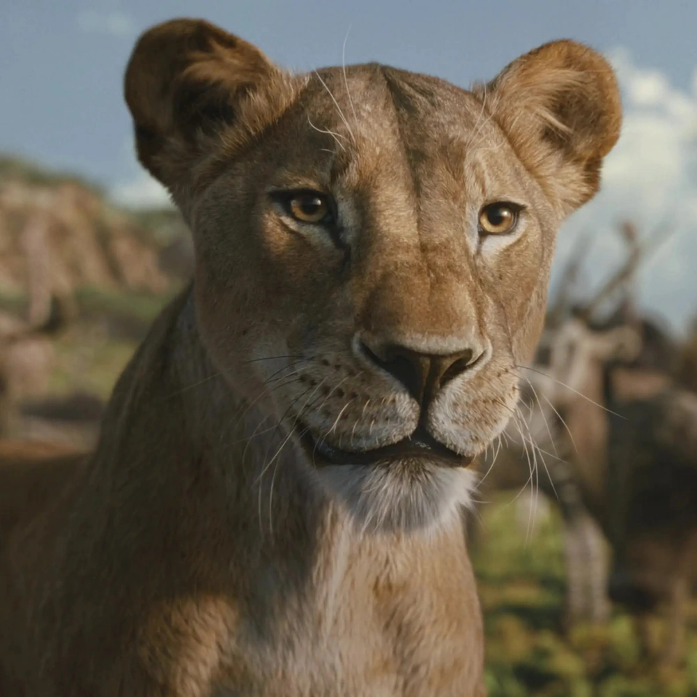 Sarabi (reboot) | The Lion King Fanon Wiki | Fandom