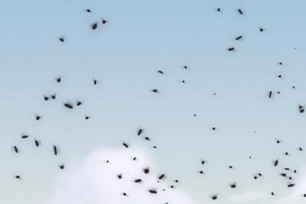 Tsetse flies | The Lion King: Revisited Wiki | Fandom