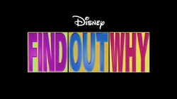 Find Out Why | The Lion King: Revisited Wiki | Fandom