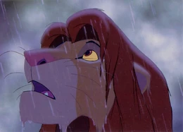 Simba | The Lion King's Timon & Pumbaa Wiki | Fandom