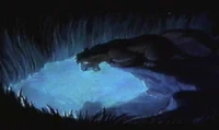 Simba | The Lion King's Timon & Pumbaa Wiki | Fandom