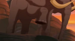 Ma Tembo | The Lion King: The Full Story Wiki | Fandom