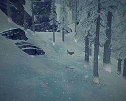 Rabbit Grove - Official The Long Dark Wiki