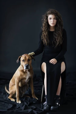 Lorde Pure Heroine Extended