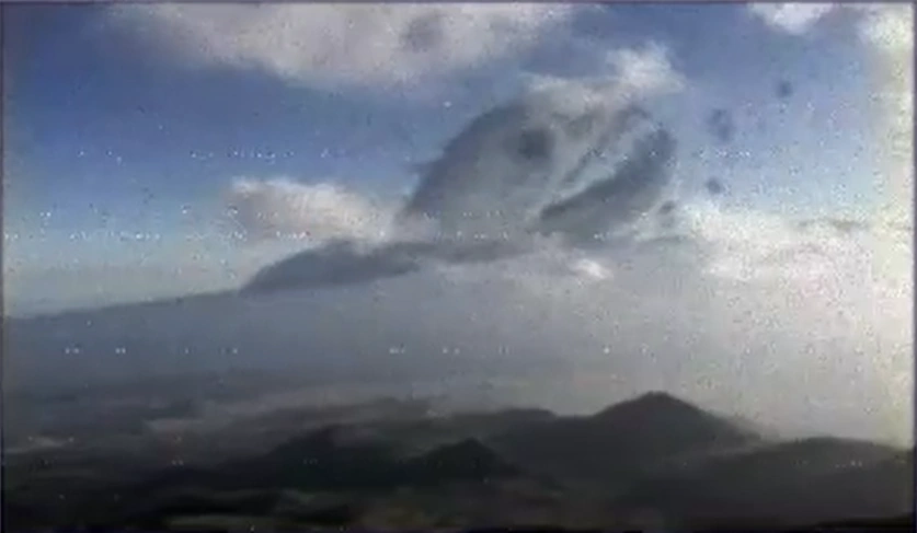 Behemoth | Wiki Thelostincident db | Fandom