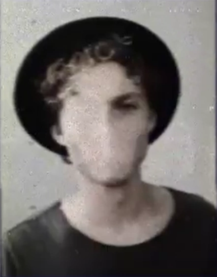 Faceling | Wiki Thelostincident db | Fandom