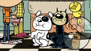 Pets Peeved | The Loud House Encyclopedia | Fandom