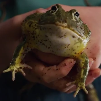 Hops | The Loud House Encyclopedia | Fandom