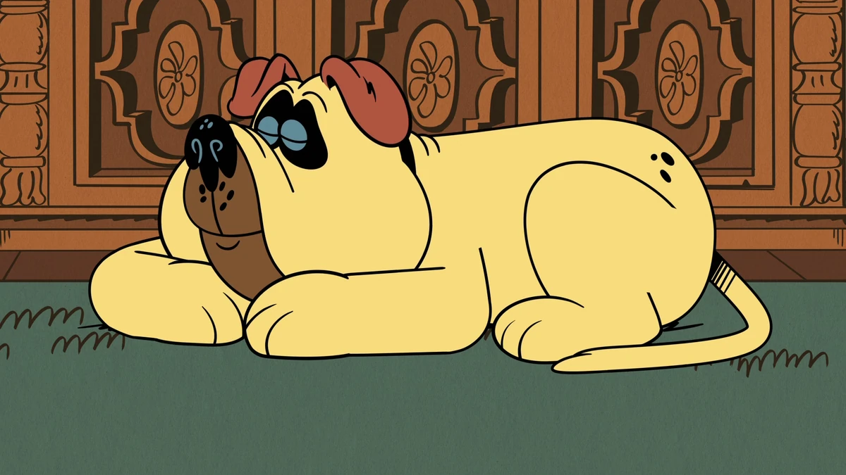 Dog Day Afternoon/Gallery | The Loud House Encyclopedia | Fandom