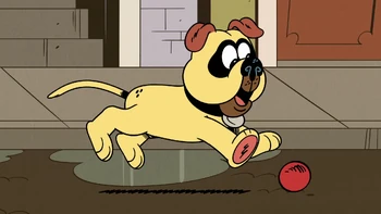 Lalo | The Loud House Encyclopedia | Fandom