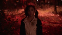 does jenny schecter die