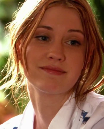 Lara Perkins | The L Word wiki | Fandom