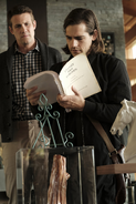 Umber/Gallery | The Magicians Wiki | Fandom