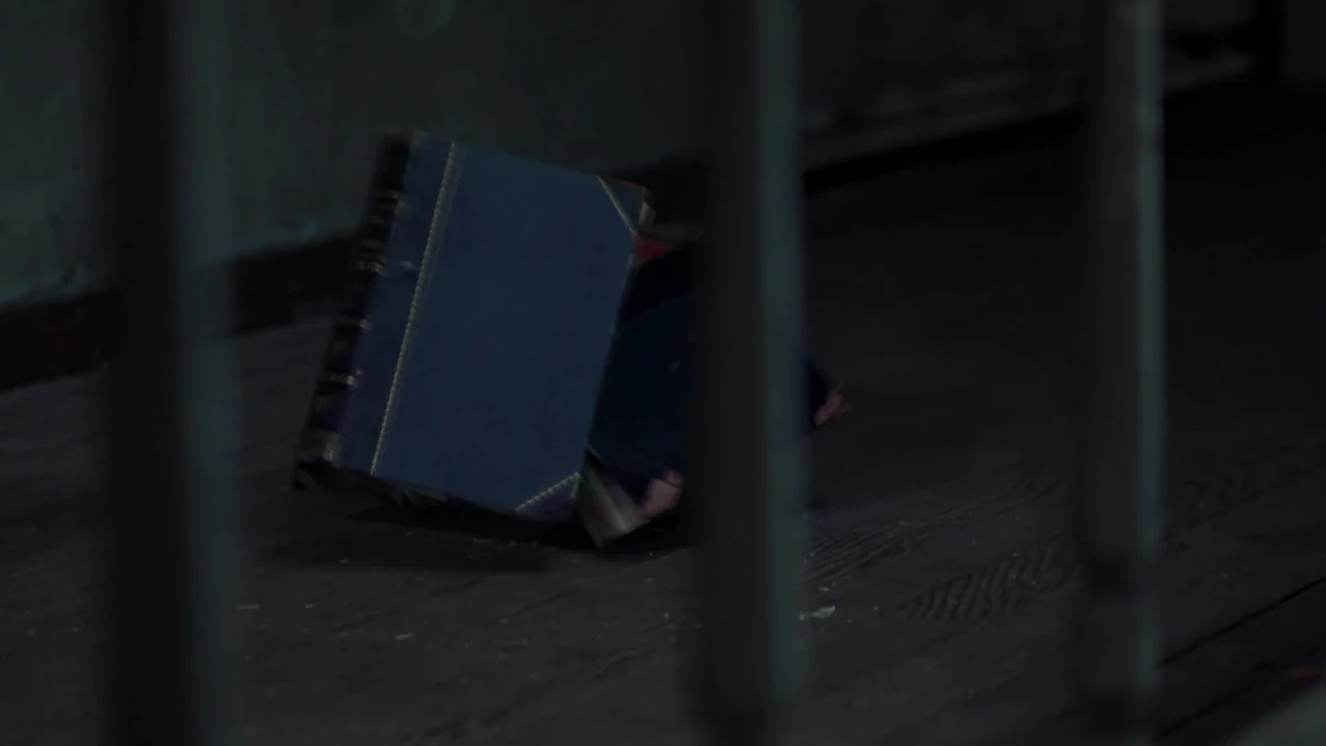 Sentient Books | The Magicians Wiki | Fandom