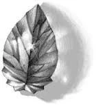 Locus Magicalicus | The Magic Thief Wiki | Fandom