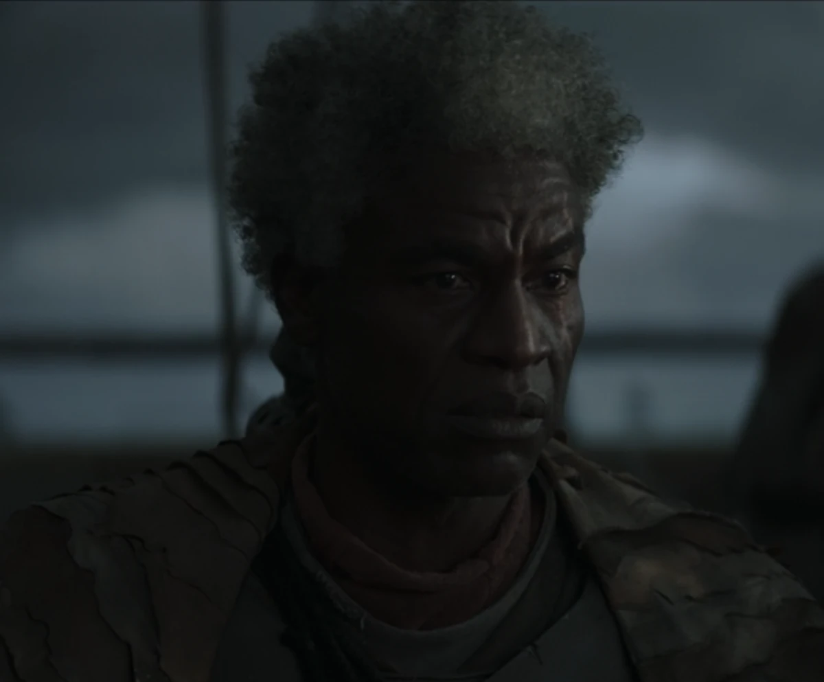 Mandalorian Captain | The Mandalorian Wiki | Fandom