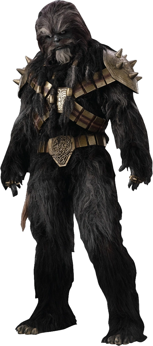 Black mandalorian store