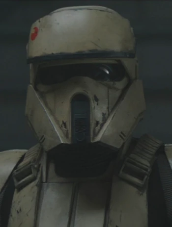 Shoretrooper | The Mandalorian Wiki | Fandom