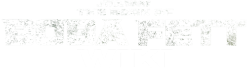 Kb The Mandalorian Wiki Fandom
