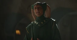Mok Shaiz's majordomo | The Mandalorian Wiki | Fandom