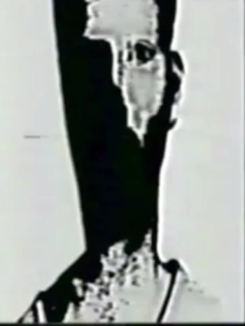 Alternate Example Victims | The Mandela Catalogue Wiki | Fandom