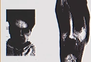 Cesar's Alternate | The Mandela Catalogue Wiki | Fandom