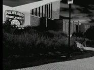 Evelin Miller | The Mandela Catalogue Wiki | Fandom