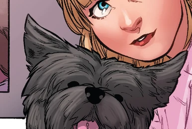 maximum ride erasers