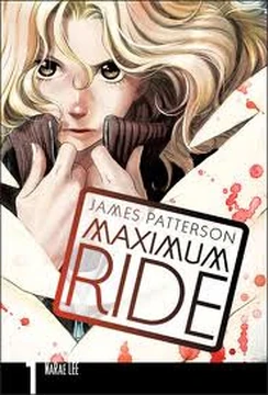Maximum Ride Ari