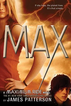 Maximum Ride Book 8