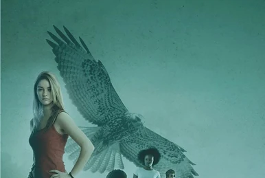 Maximum Ride Nevermore